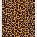 Cheetah Leopard Print Pattern Edible Picture Strips | Wrap Sides of ...