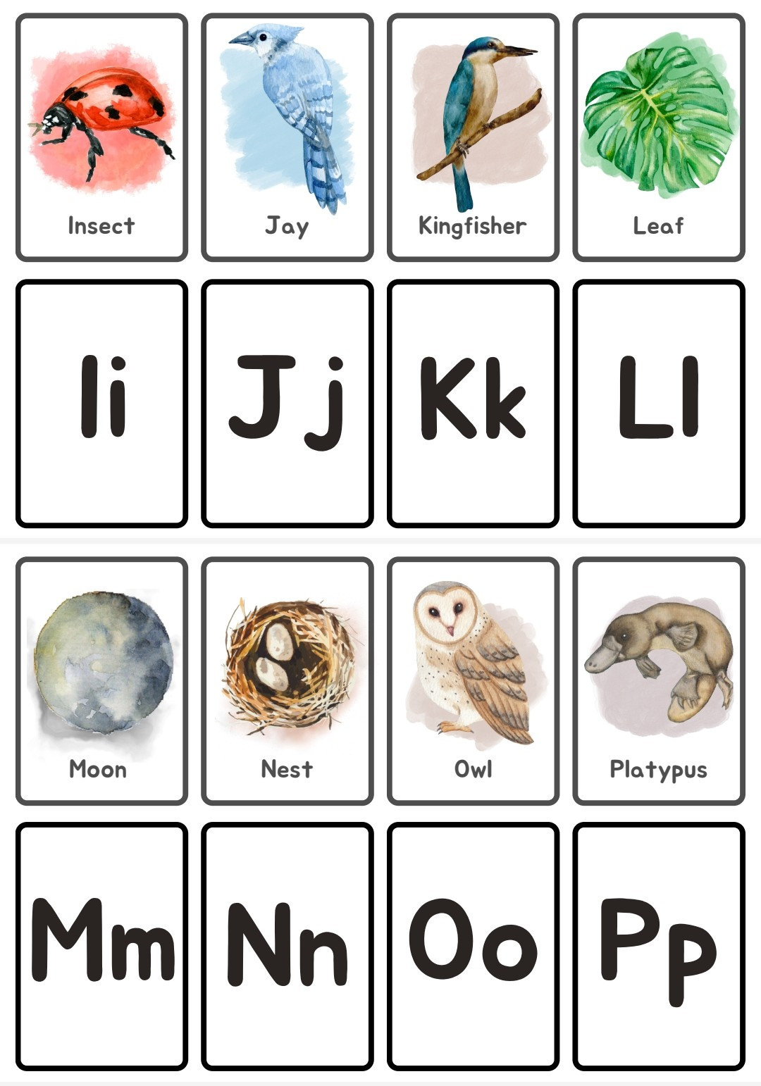 Nature Alphabet & Number Flash Cards - Etsy