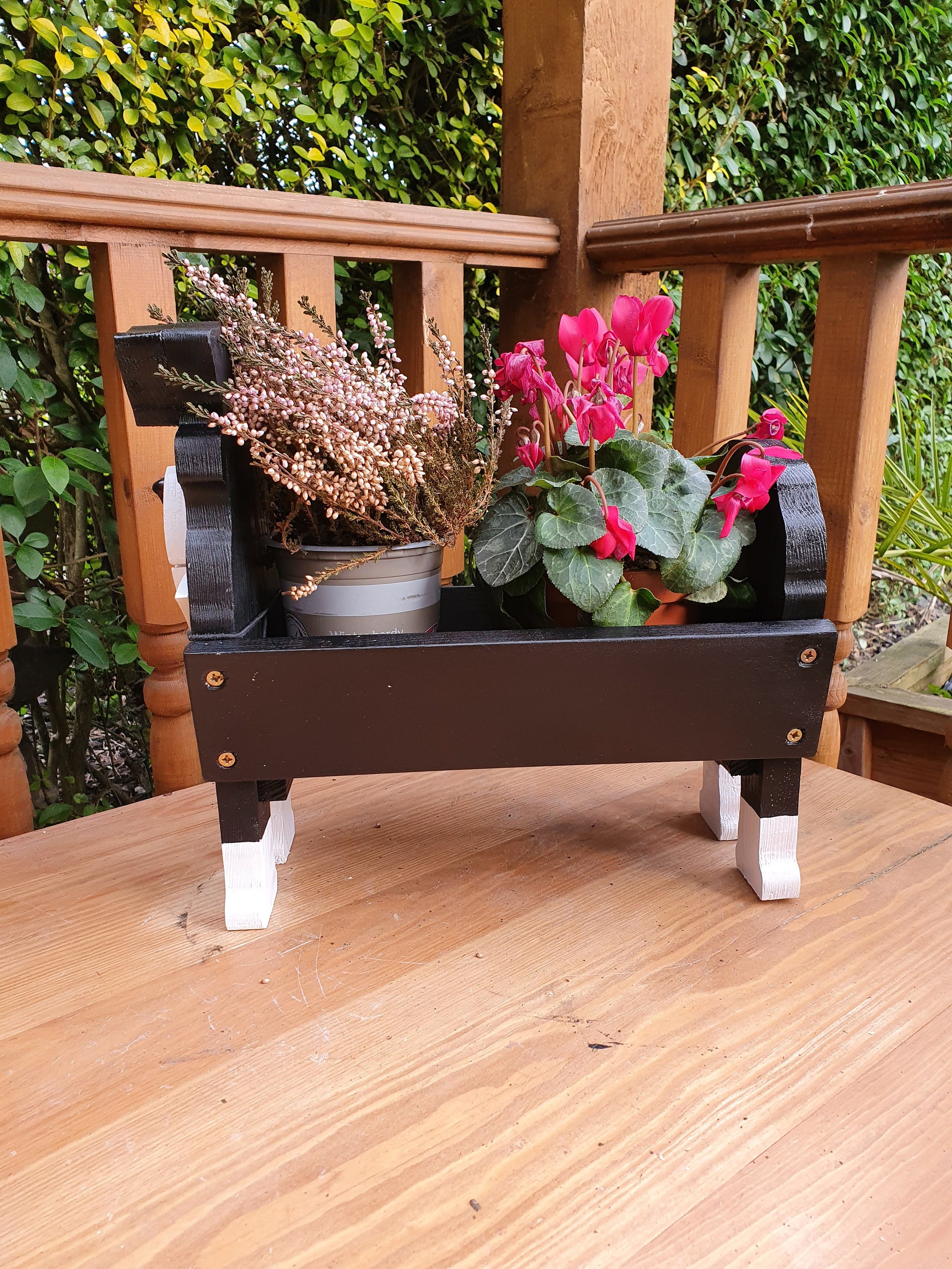 Border Collie Pet Planter Toy Holder Birthday Gift | Etsy