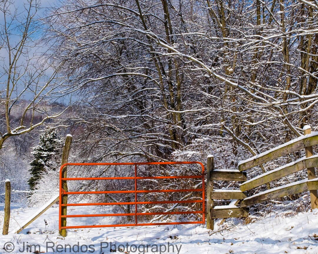 Freshly Fallen Snow and a Red Farm Gate, a Winter Country Photo Image ...