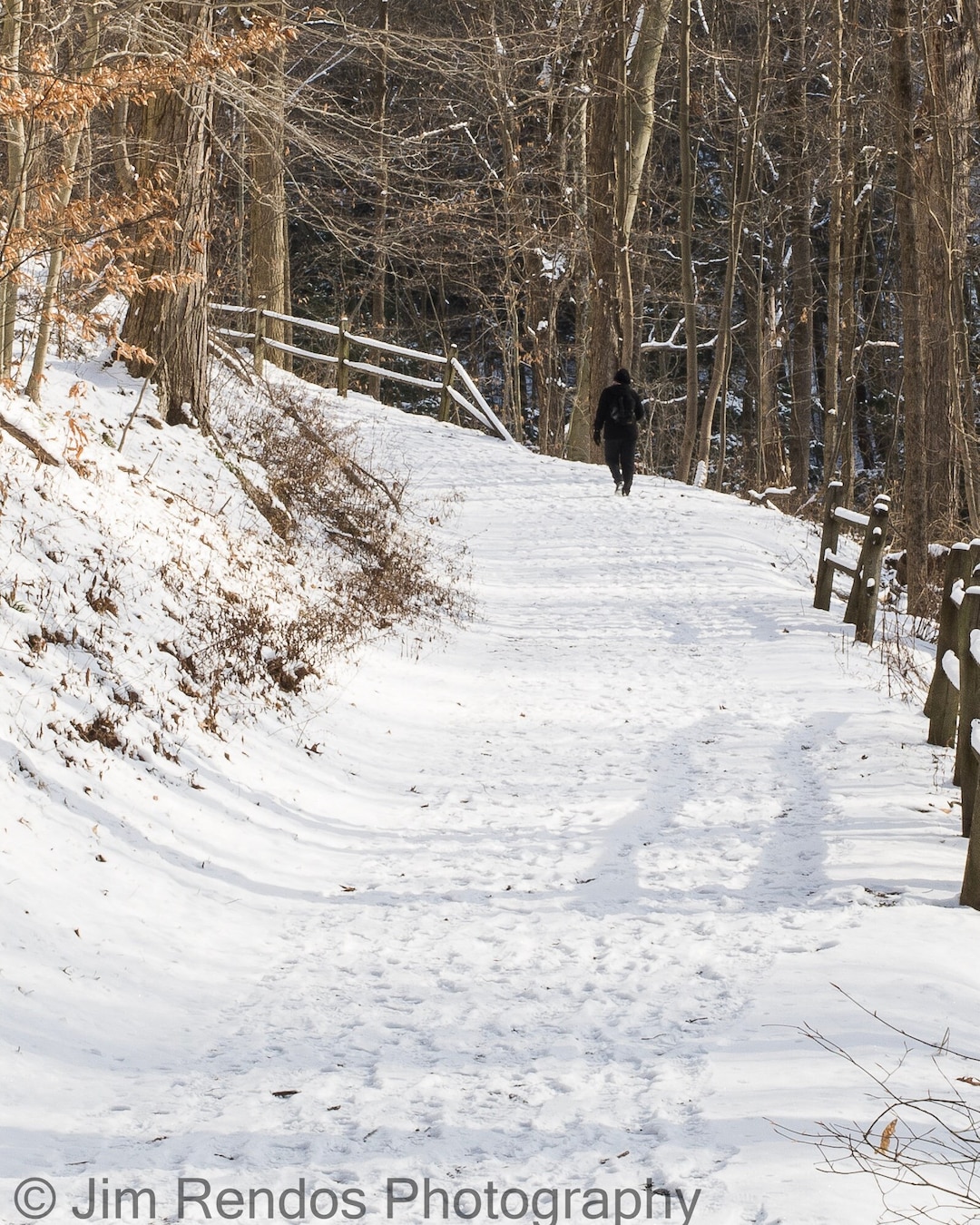 Walking on a Winter Trail, a Photo Print of a Snow Covered Walking ...