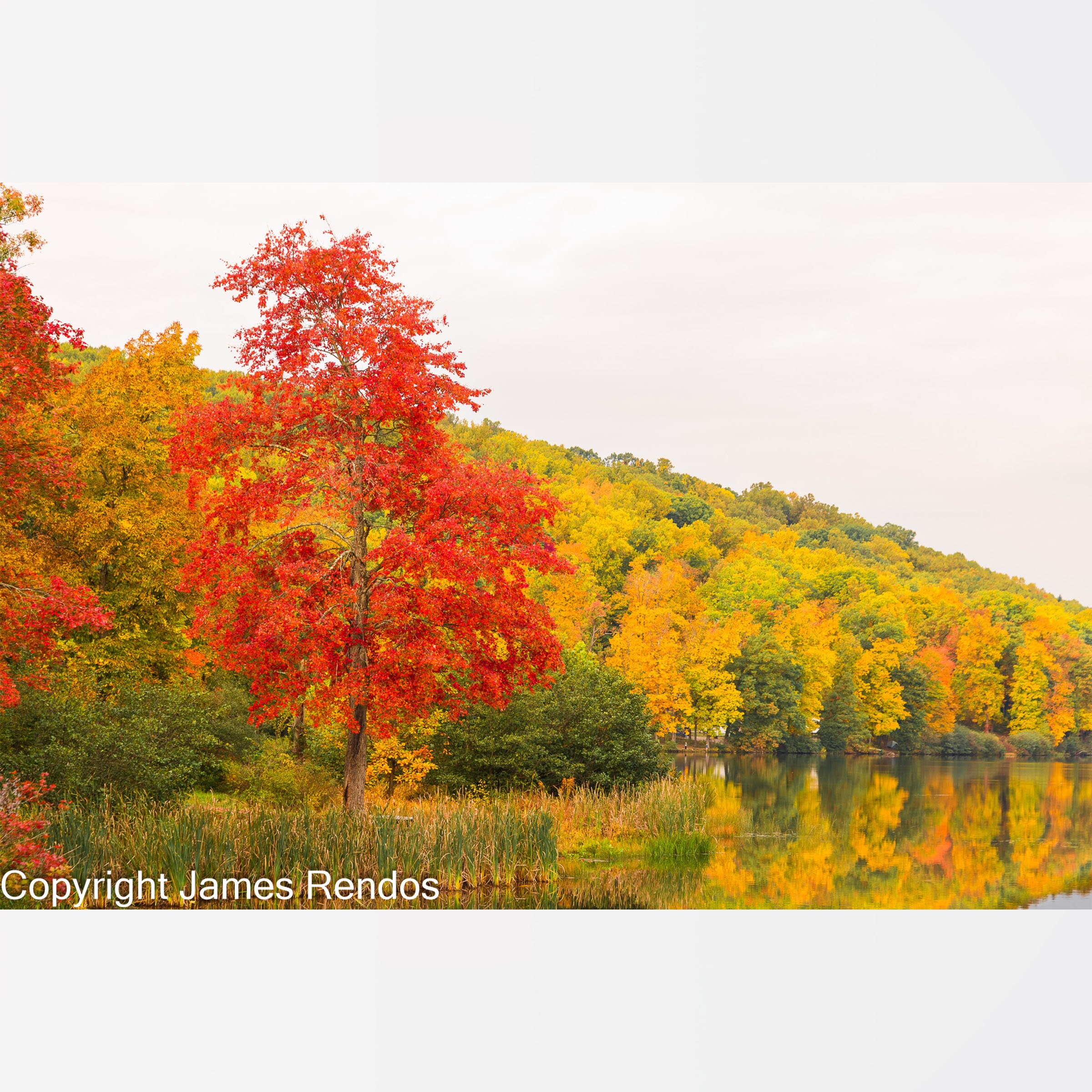 Autumn Colors Along a Quiet Lake, A Photo Print of Bright Fall Foliage ...