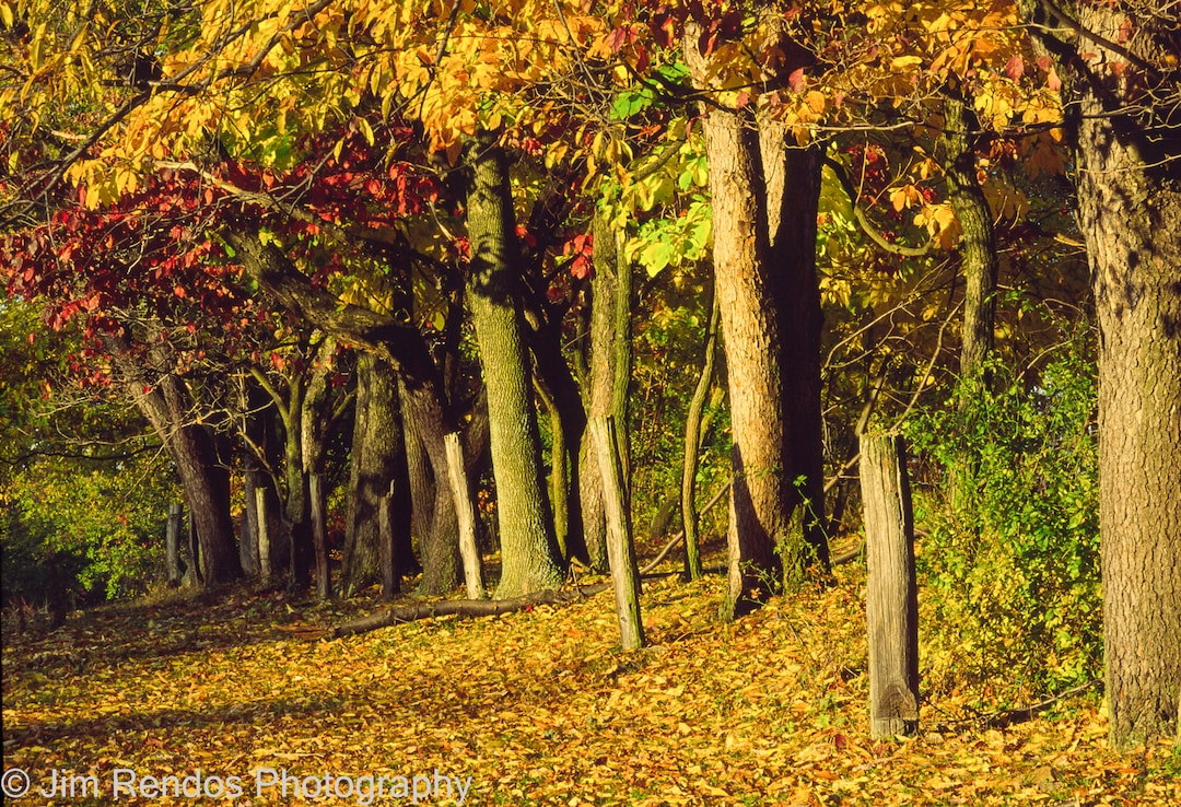 Autumn Color Image, Fall Colors on Farm, A Fall Color Landscape Photo ...
