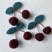 Felt Cherries Felt Shape Felted Shapes Wool Felt Fruit - Etsy