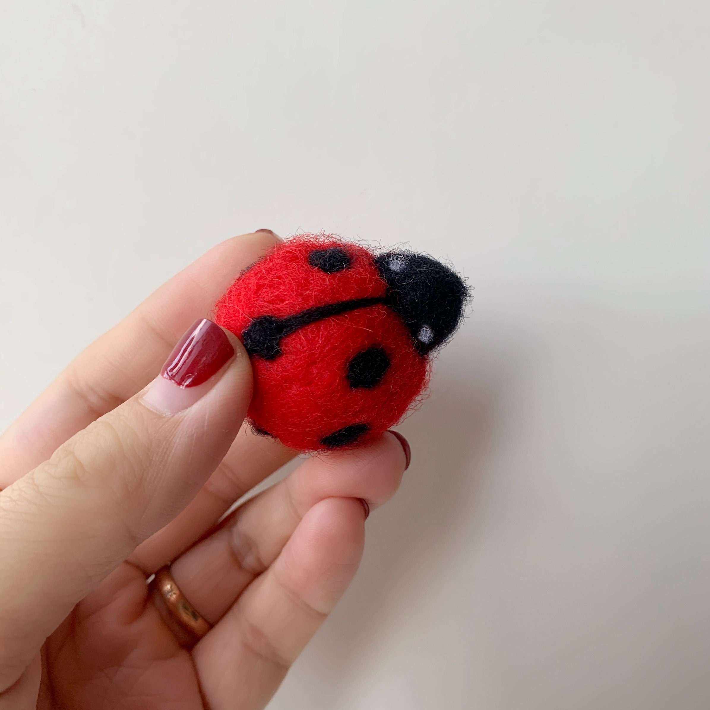 Felted Ladybug Wool Felt Ladybug Felted Insect Needle Felt | Etsy