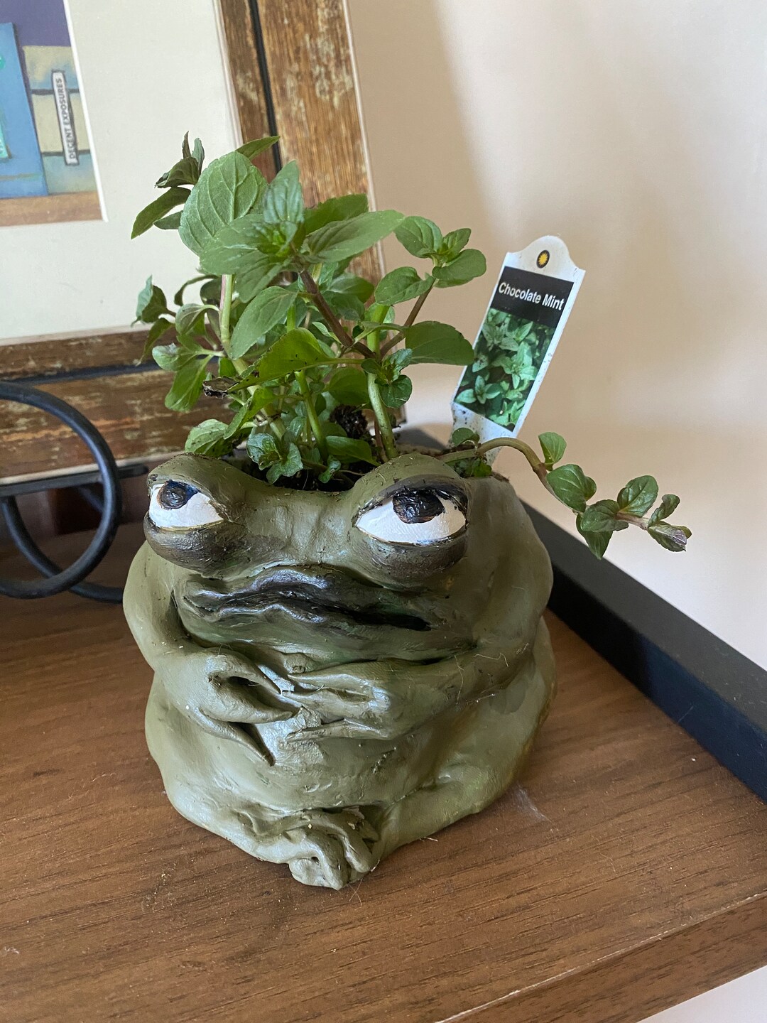 Frog Planter Terra Cotta Clay and Pot. - Etsy