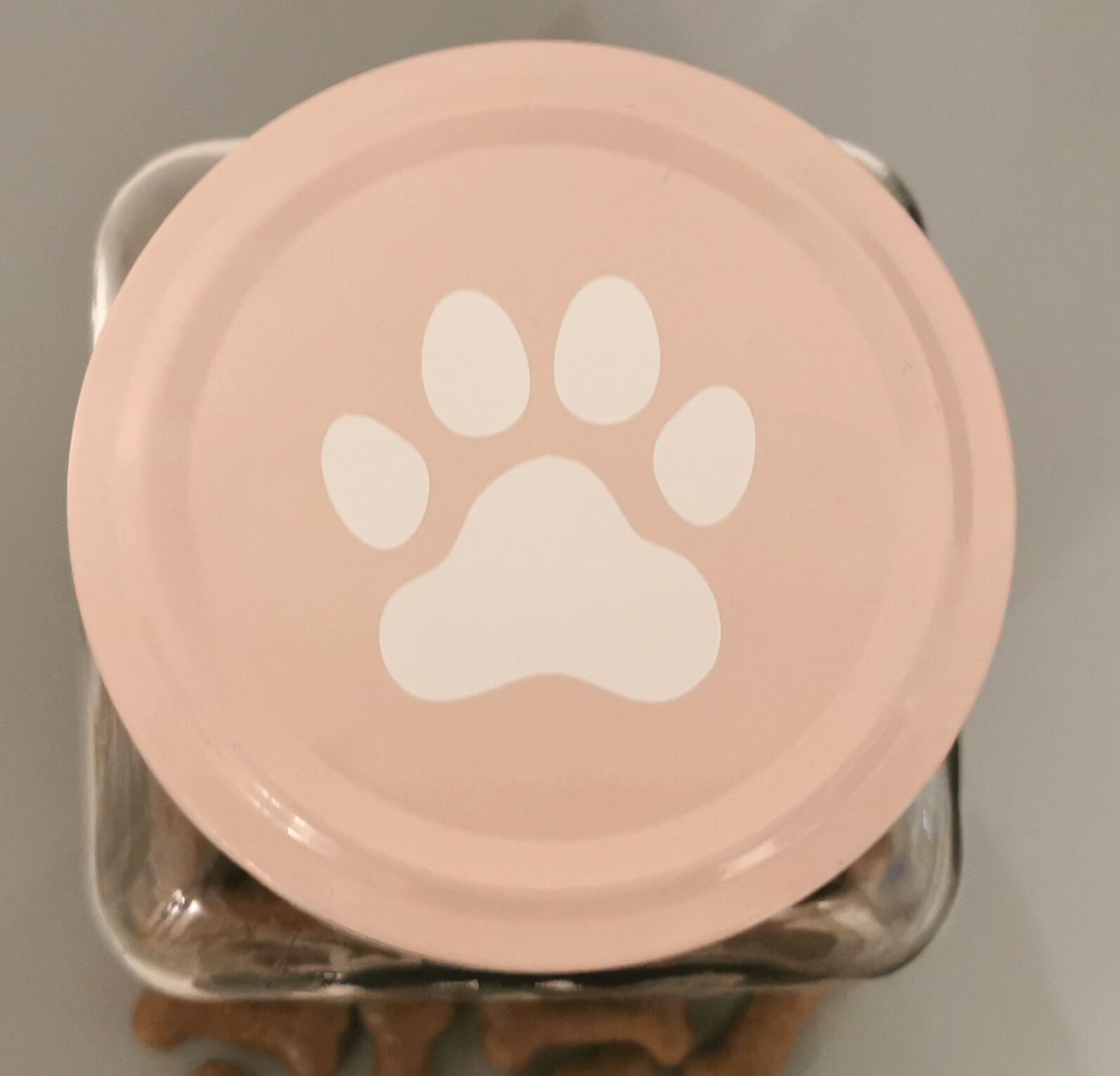 Large Dogtreat Jar With Pink Paw Print Screw Lid Fastening - Etsy Singapore
