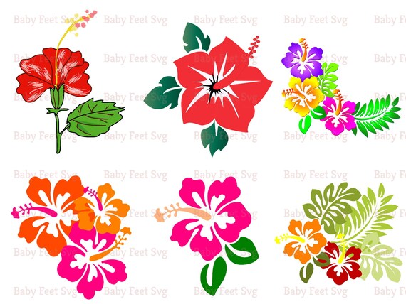 Bundle Hibiscus Flower Svg Hibiscus Paper Flower Svg | Etsy