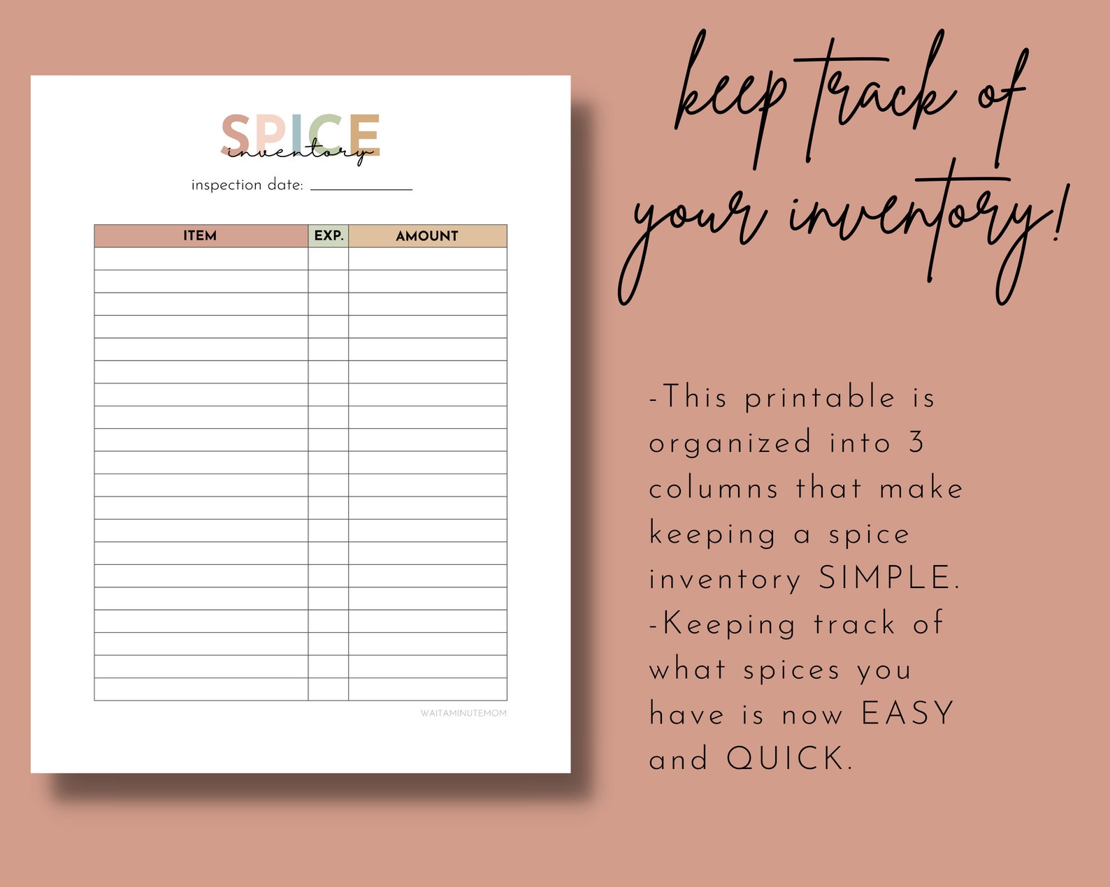 Spice Inventory List Printable, Kitchen Inventory, Food Spices Stock ...