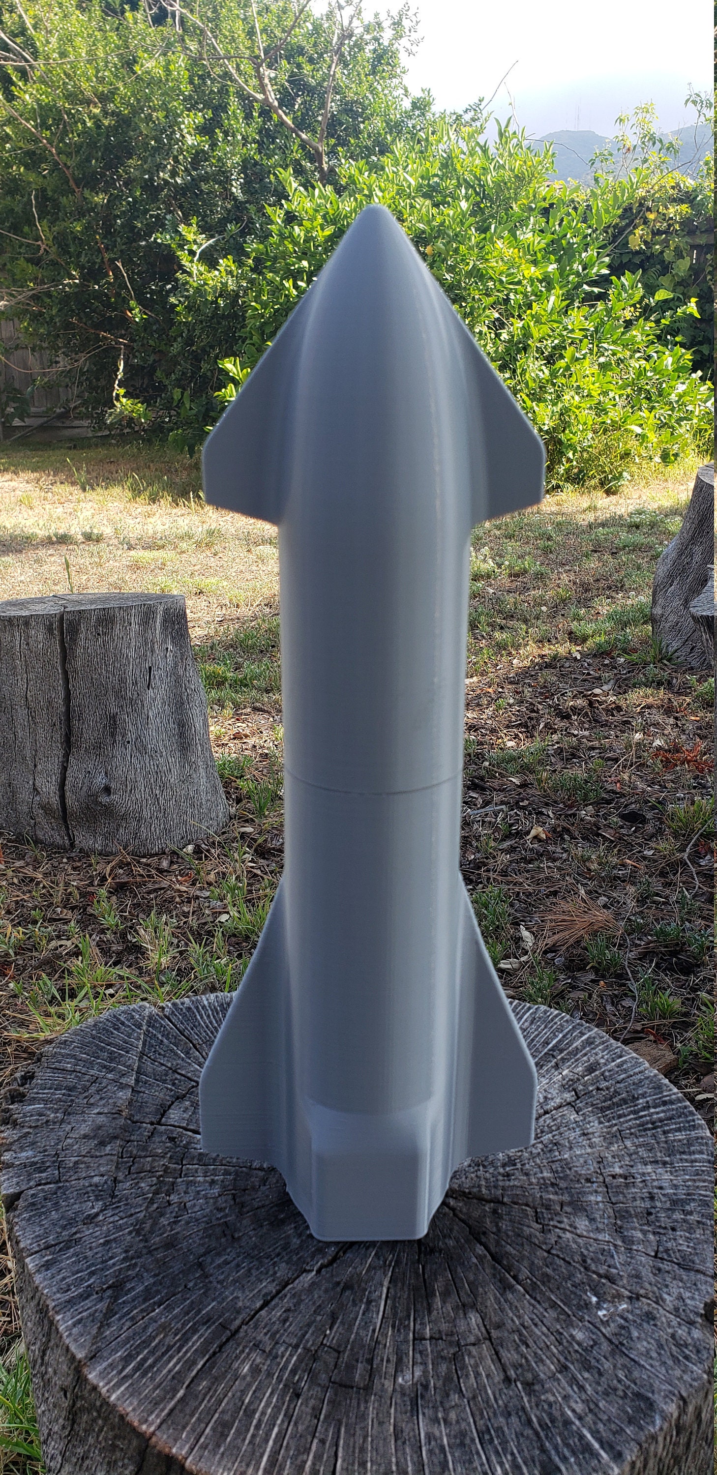 3D Printed 1:160 Spacex Starship SN8 Display Model 12 | Etsy