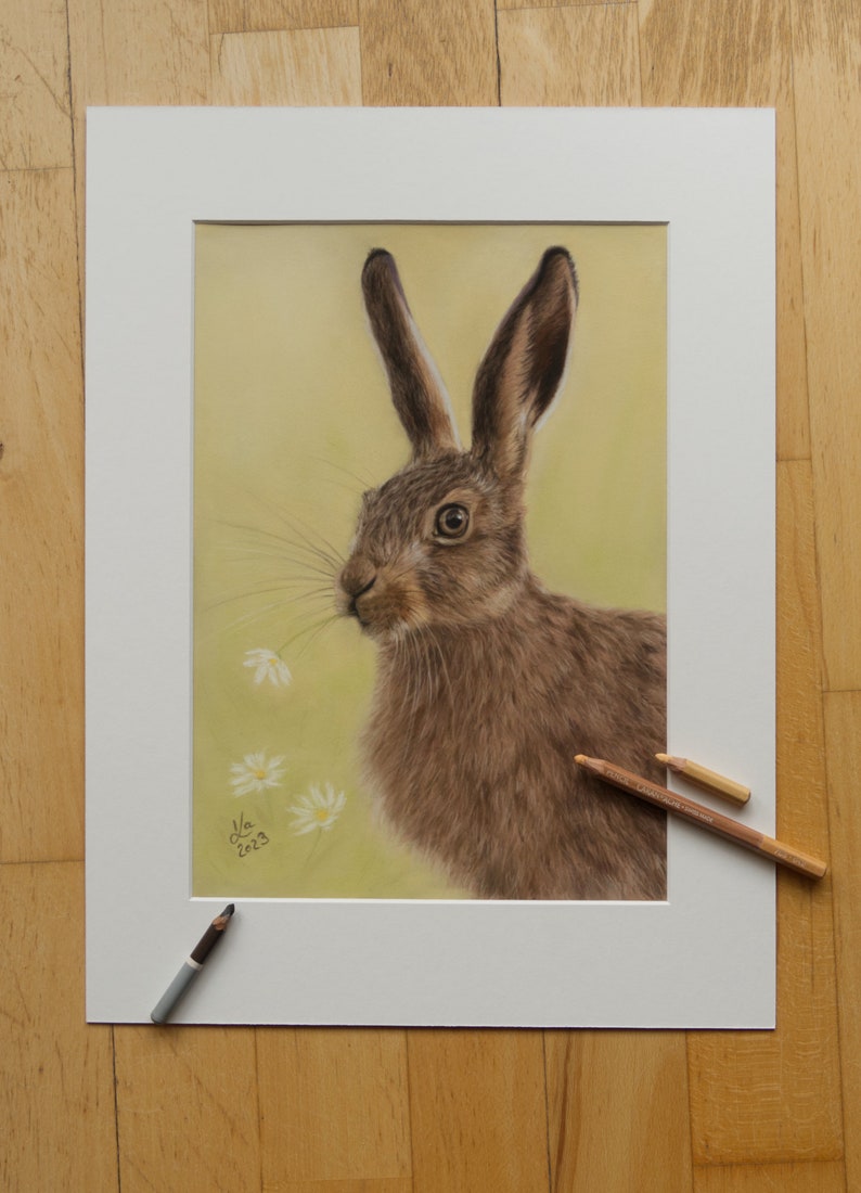 Young Hare Pastel Drawing Original, 20 X 29 Cm - Etsy