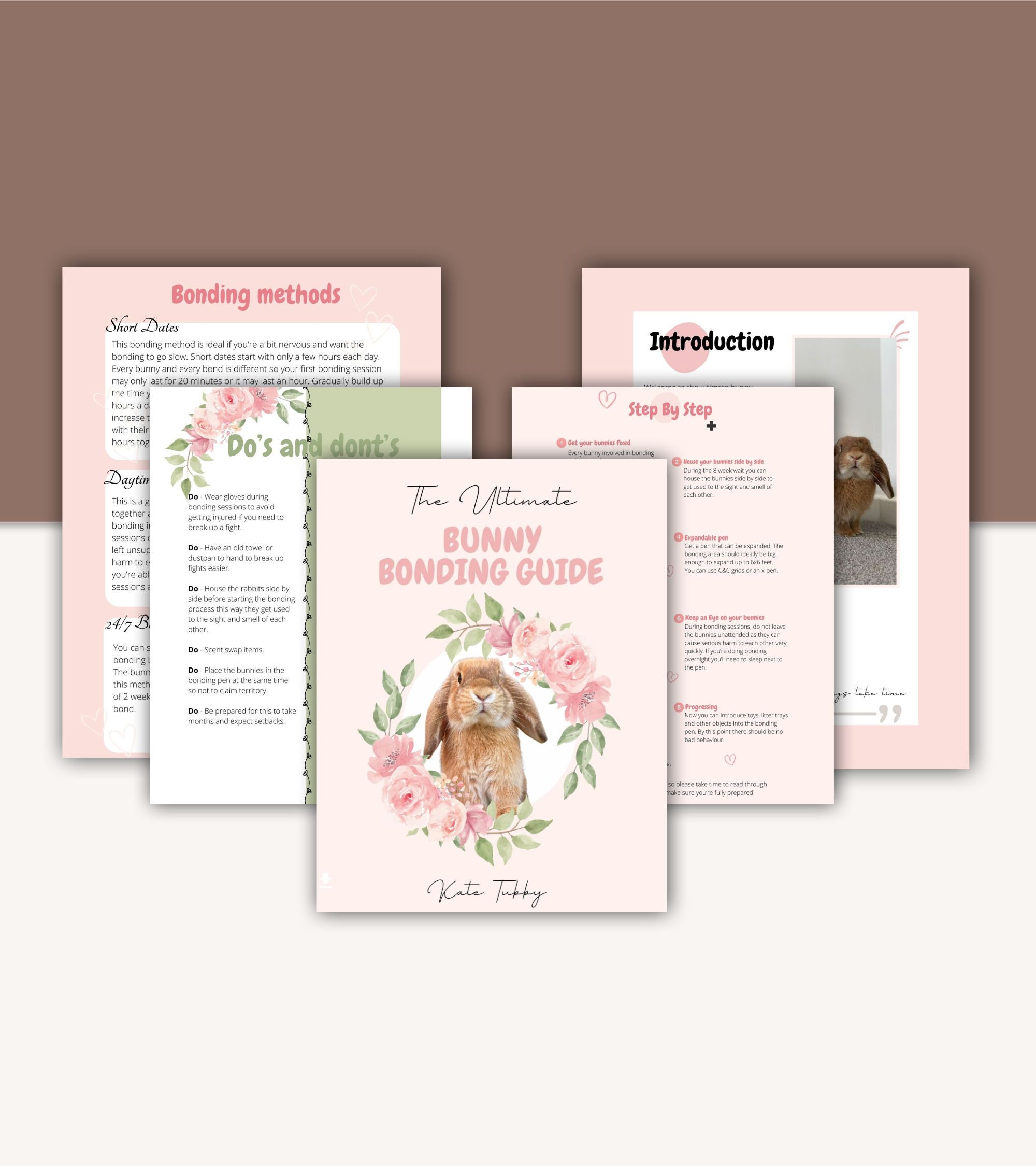 The Ultimate Bunny Bonding Guide DIGITAL DOWNLOAD - Etsy