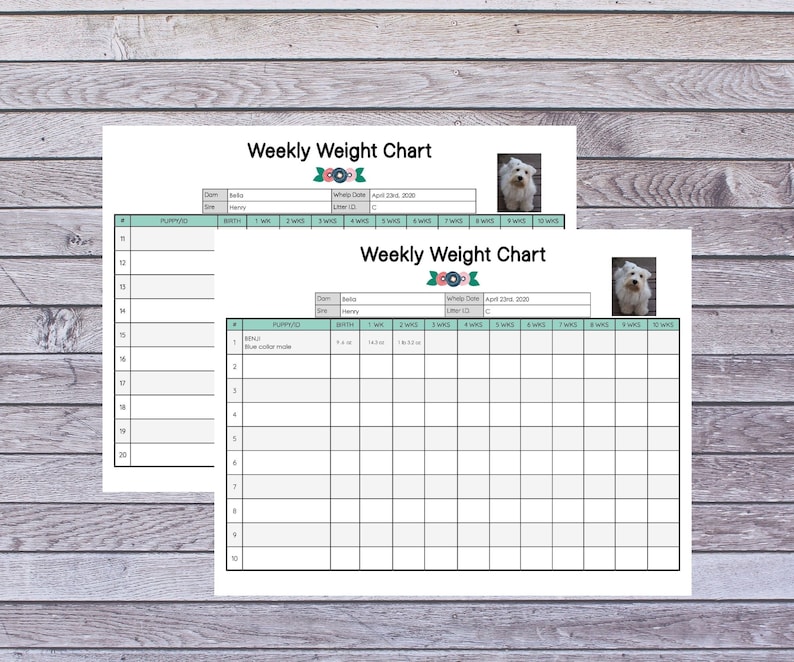 Weekly Puppy Weights Chart Breeder Litter Records/forms - Etsy