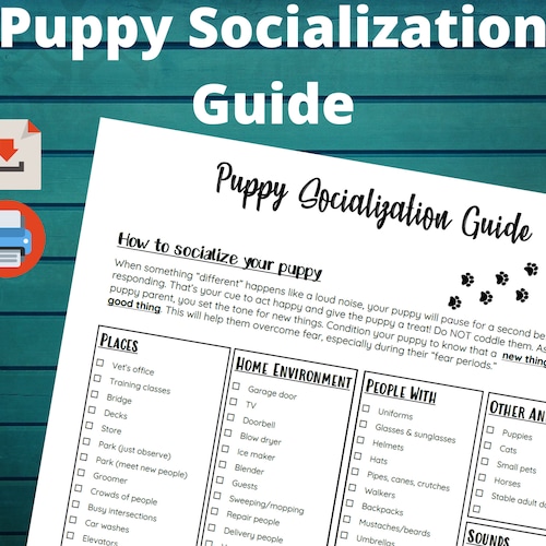 Puppy Socialization Guide/handout/checklist - Etsy