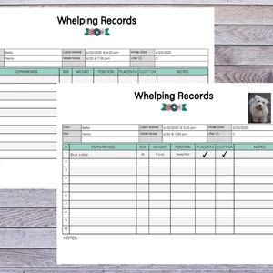 Whelping Record Form for Breeders - Litter Records - Etsy