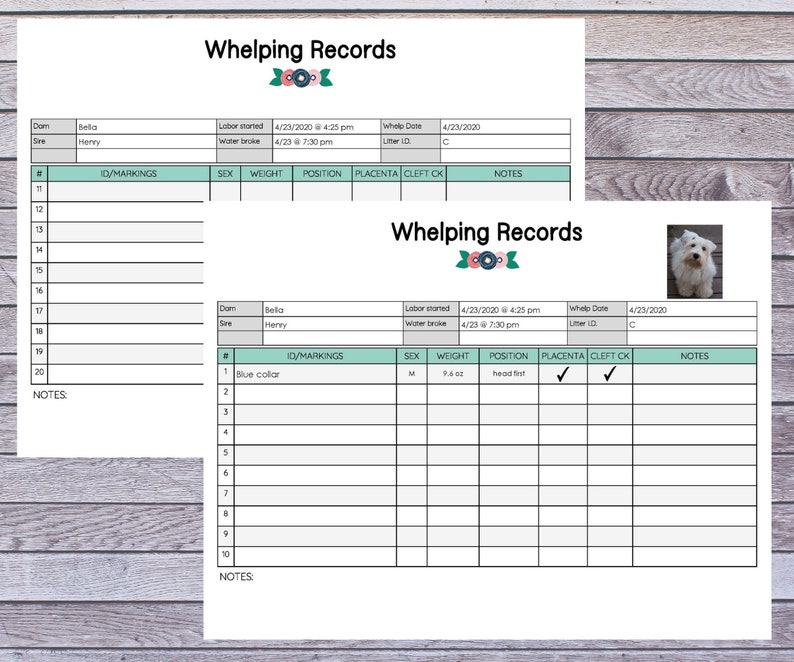 Whelping Record Form for Breeders Litter Records - Etsy
