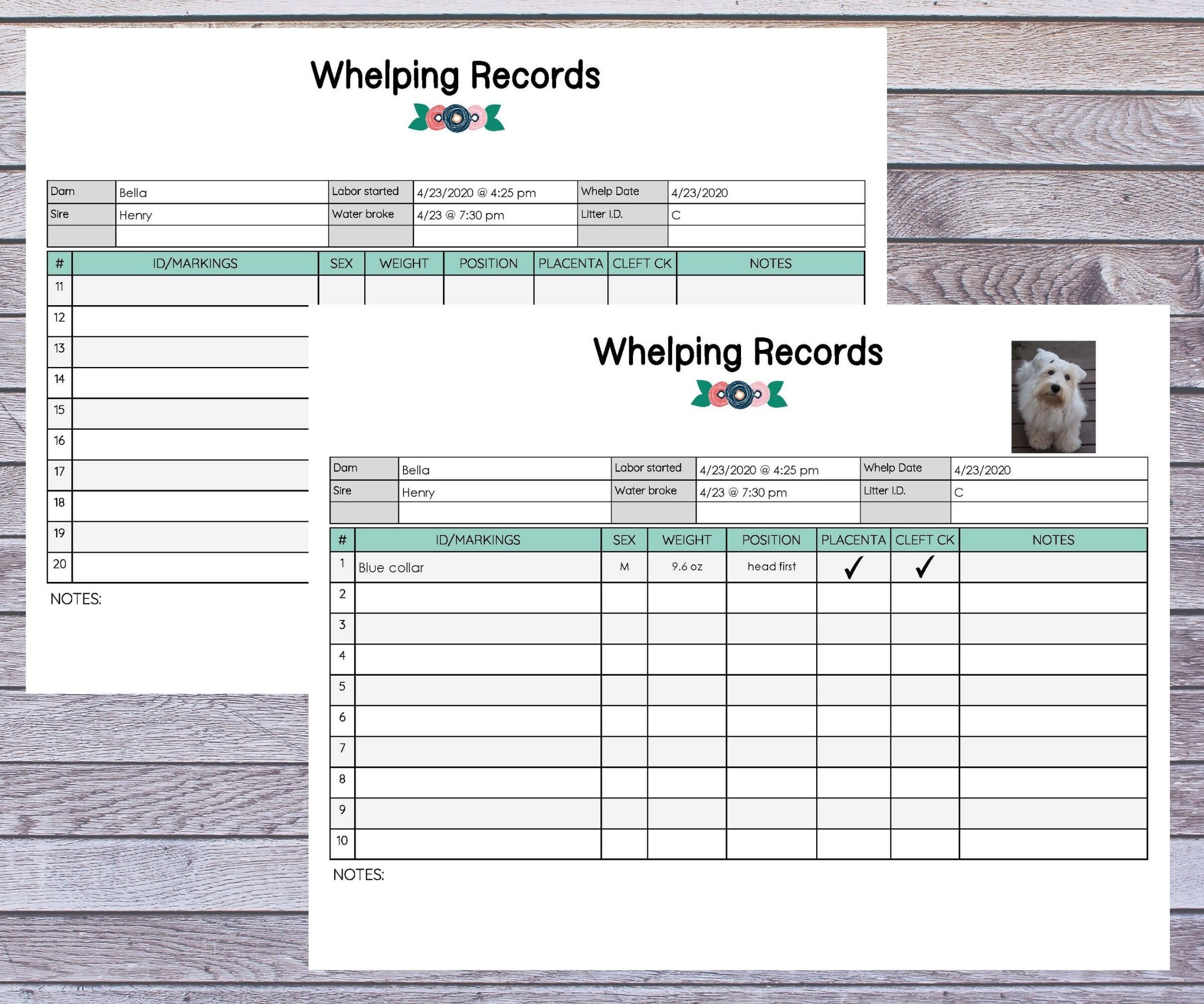 Whelping Record Form for Breeders Litter Records - Etsy UK