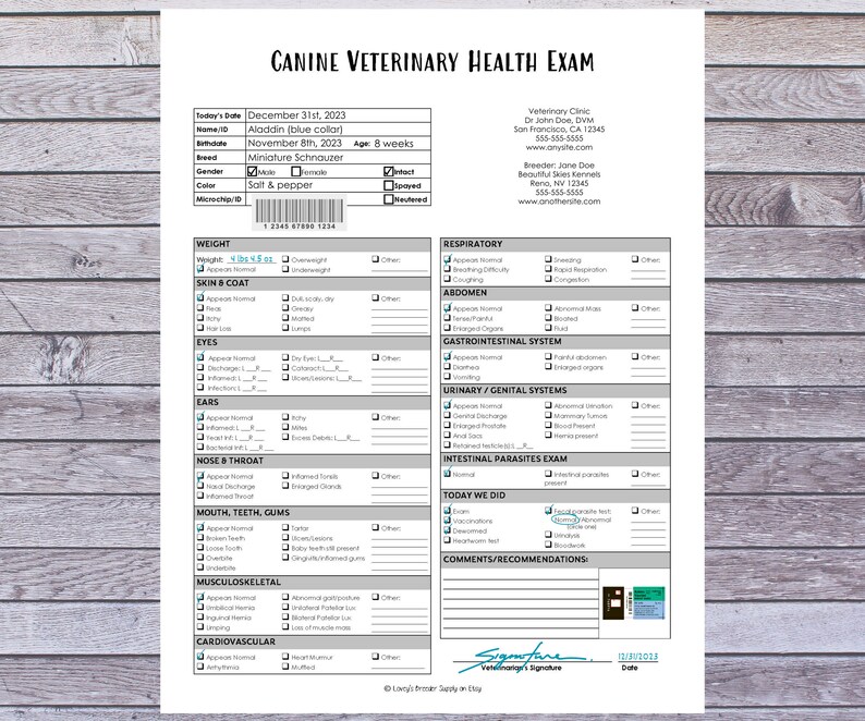 Canine Veterinary Health Exam Form- Vets, Breeders, Pet Owners - Etsy