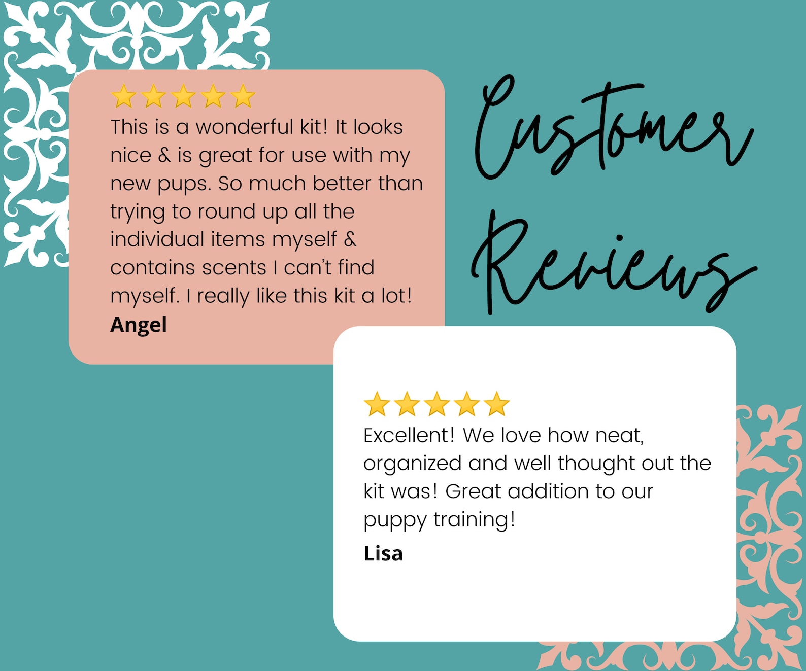 Breeder ENS & ESI Kit for Puppies Early Neurological - Etsy