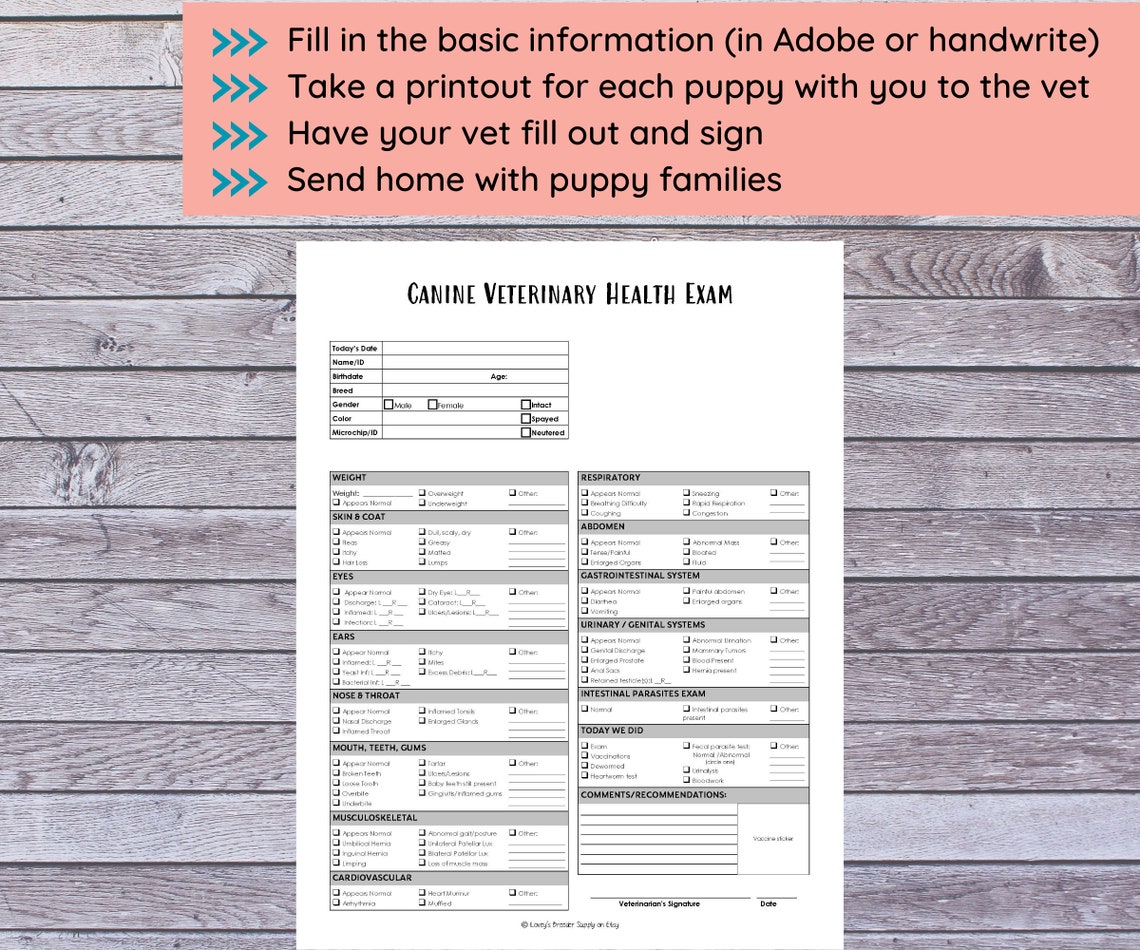 Canine Veterinary Health Exam Form- Vets, Breeders, Pet Owners - Etsy