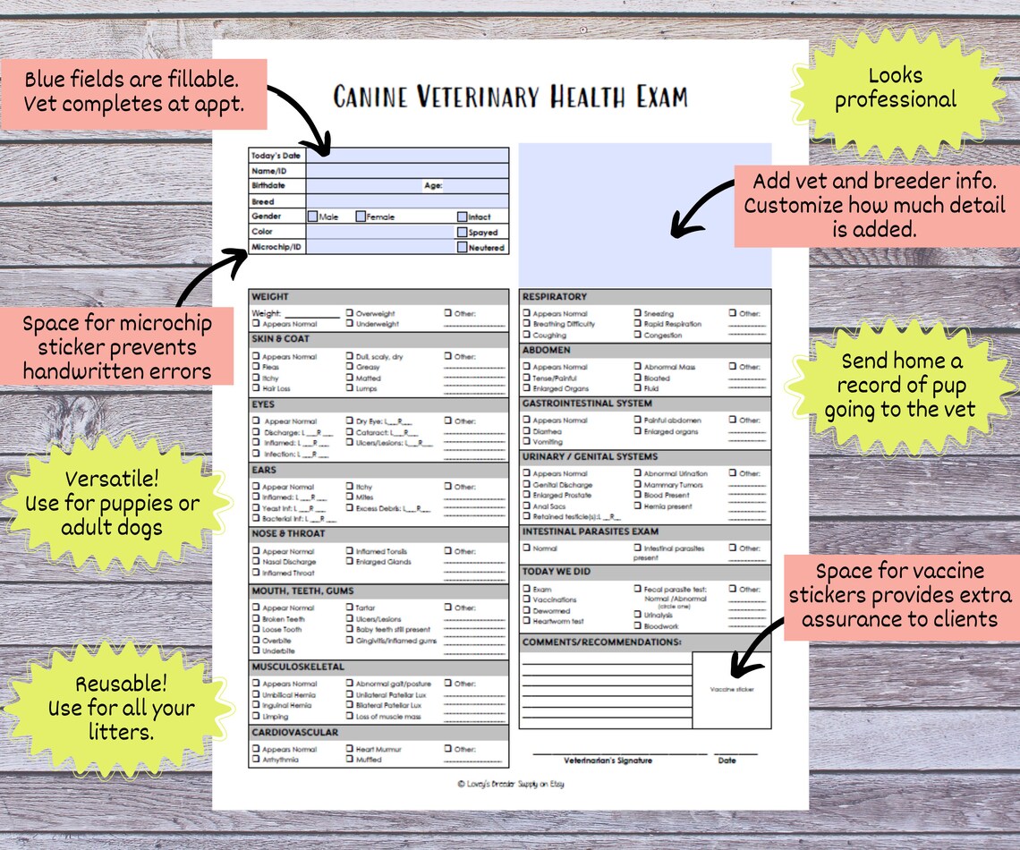 Canine Veterinary Health Exam Form- Vets, Breeders, Pet Owners - Etsy