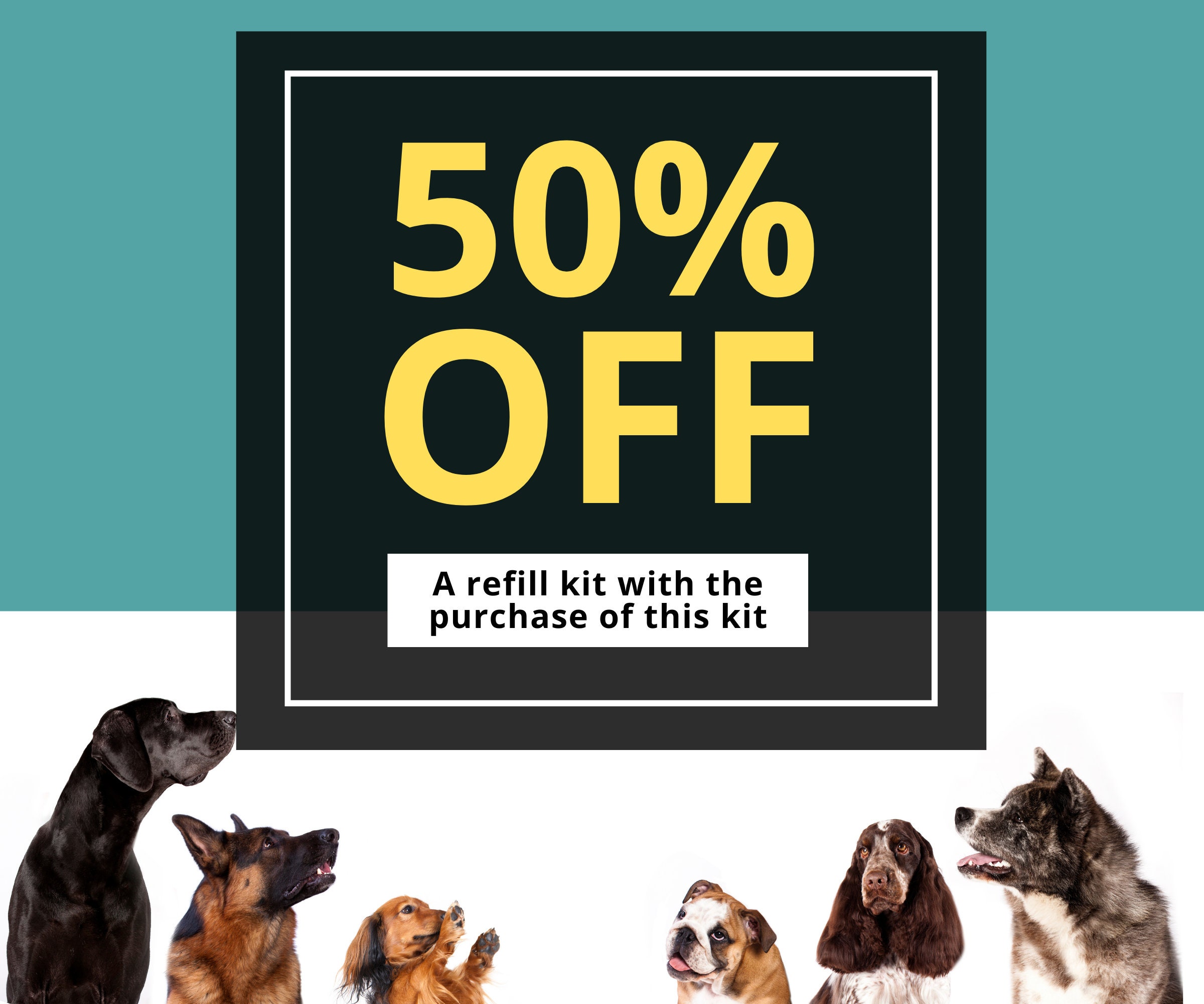 Breeder ENS & ESI Kit for Puppies Early Neurological - Etsy