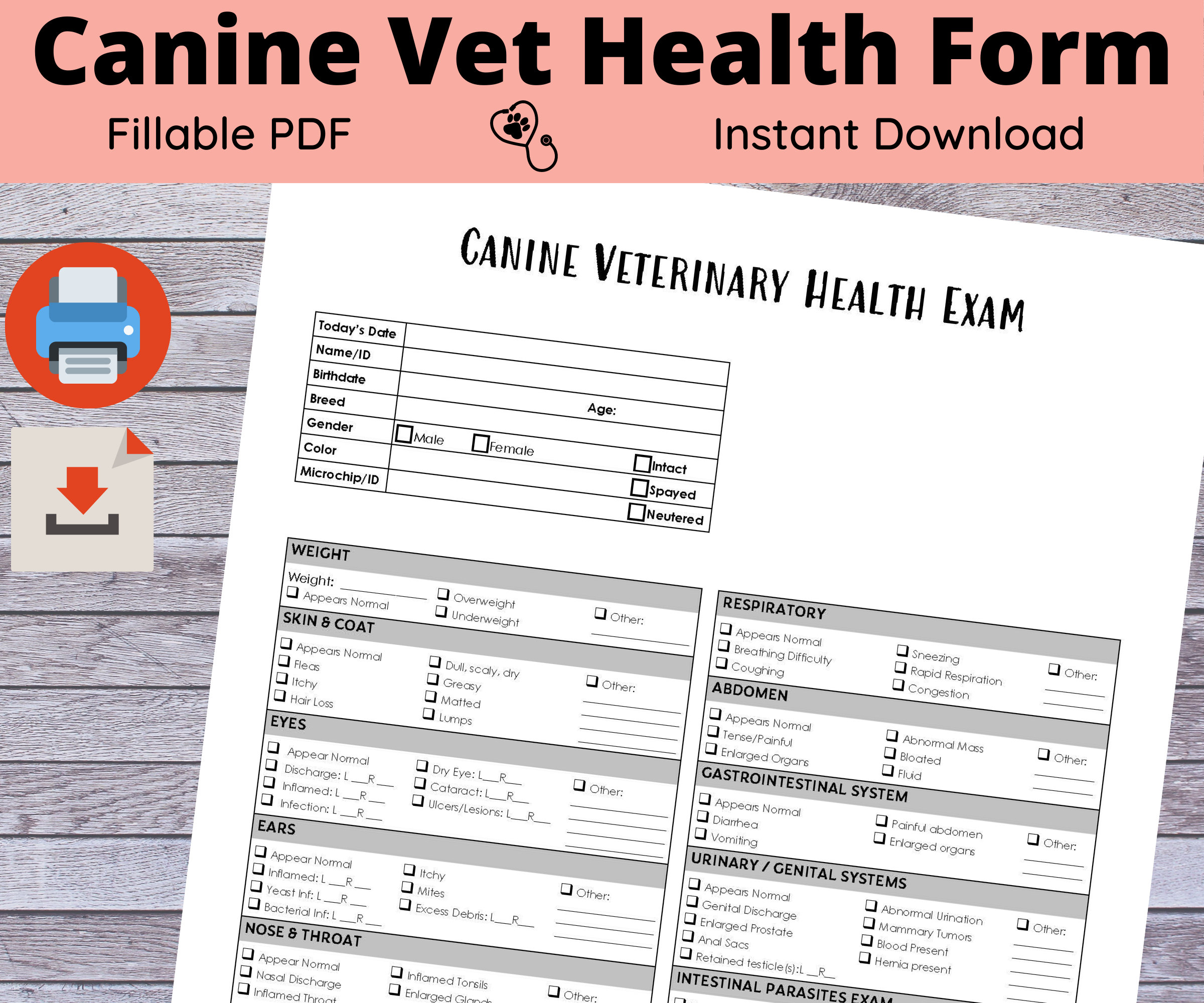 Veterinary Forms Word Veterinary Physical Exam Form Template