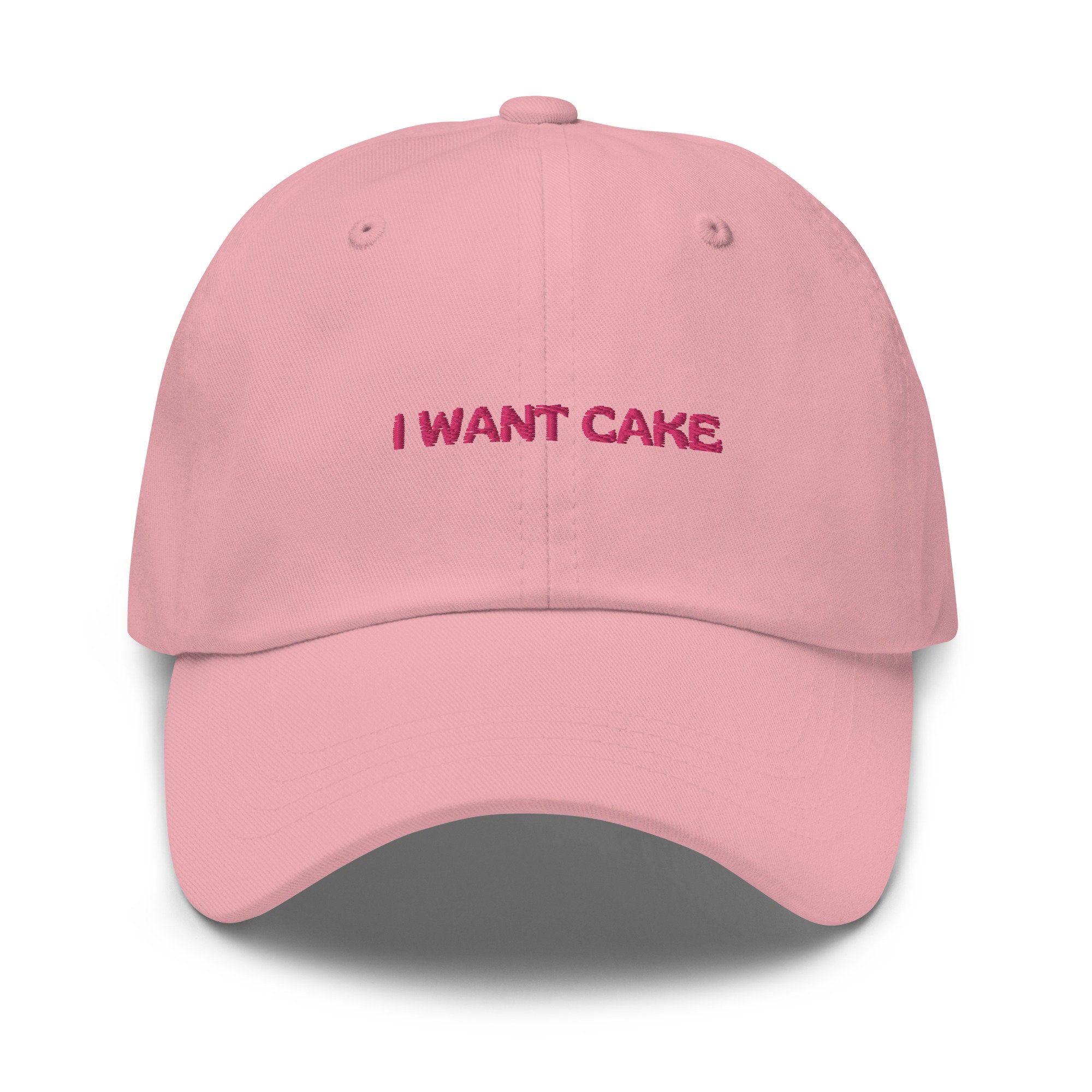 I Want Cake Hat, Embroidered, Hat Lover, Fun Hats for Friends, Fun ...