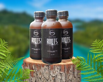 Breadnut Brosimum Alicastrum Jamaican Roots Tonic - Etsy