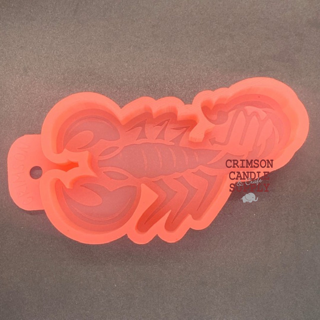 Zodiac Scorpio Silicone Mold 3 H X 5 W X 1 Deep - Etsy