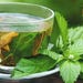 Scent Leaves/efinrin/ Nchanwu (dry) 2oz Bag Seasoning by Hatf's ...
