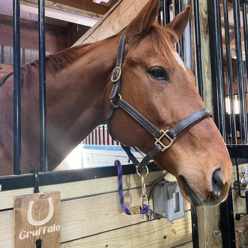 Horse Tack Holder Personalized Horse Lover Gift Sturdy Stall - Etsy