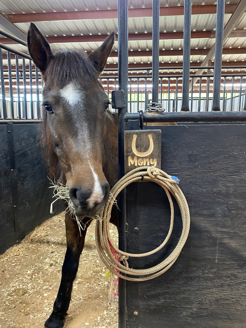 Horse Tack Holder Personalized Horse Lover Gift Sturdy Stall - Etsy