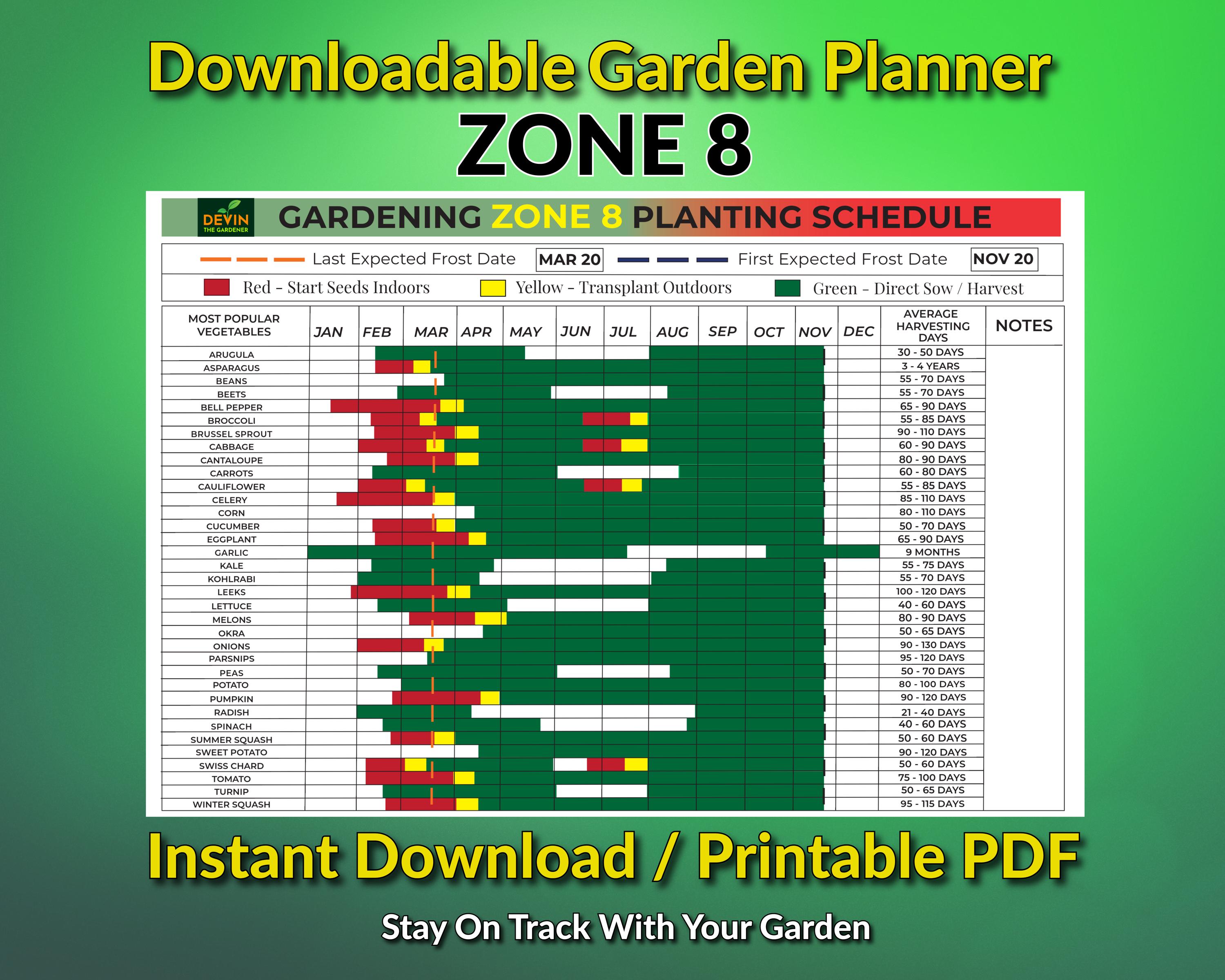 A Zone 8 Planting Timeline