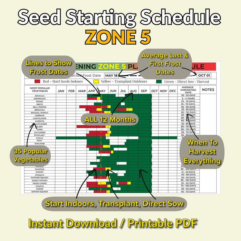 Fruit Seeds for Zone 5 - Etsy