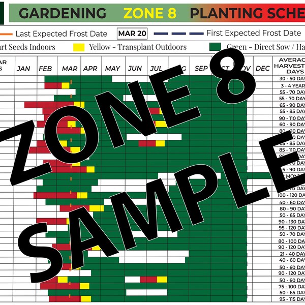 Vegetable Plants - Etsy