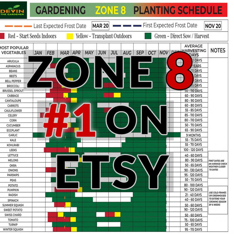 Garden Plants - Etsy