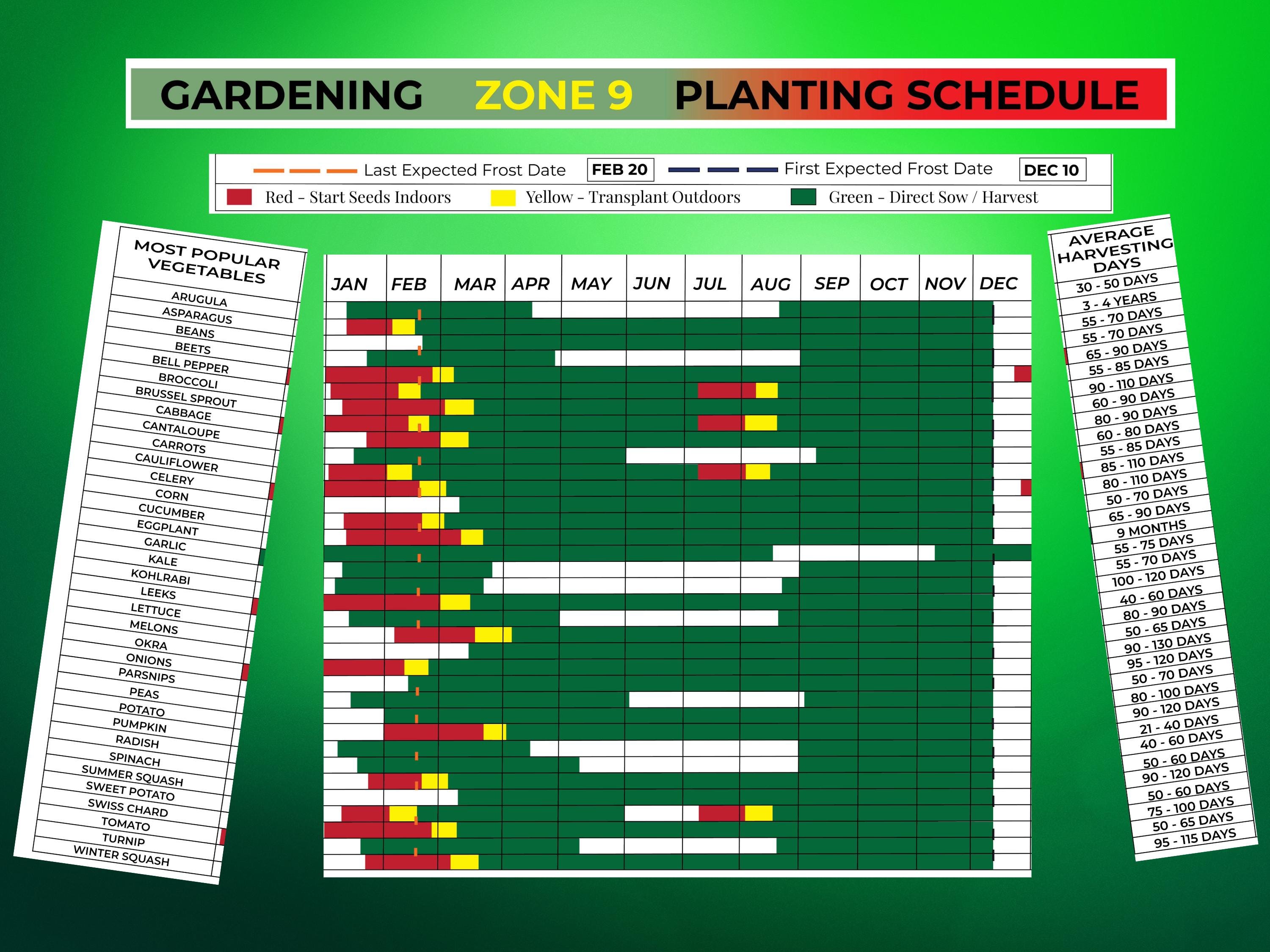 Zone 9 Garden Planner 2025: Seed Starting Schedule (PDF) - Etsy