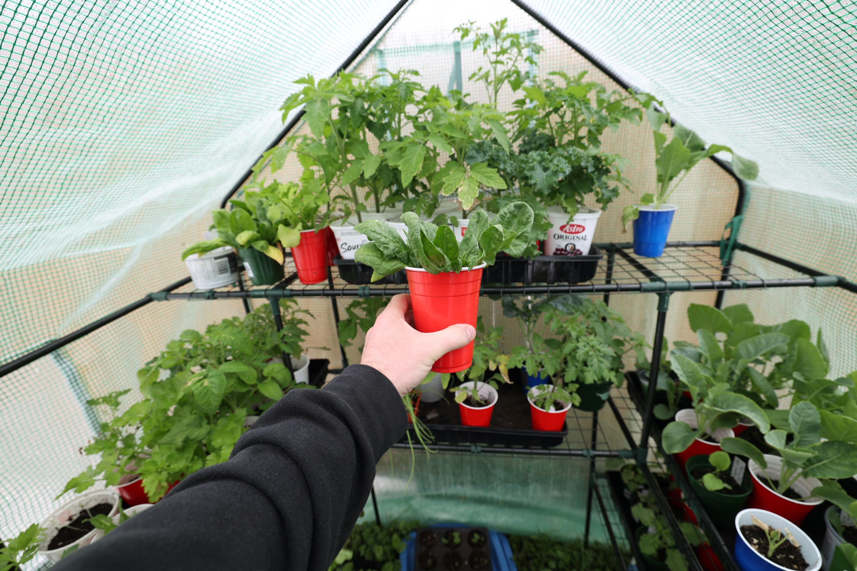 Zone 5 Digital Garden Planner: Seed Starting Guide (PDF) - Etsy