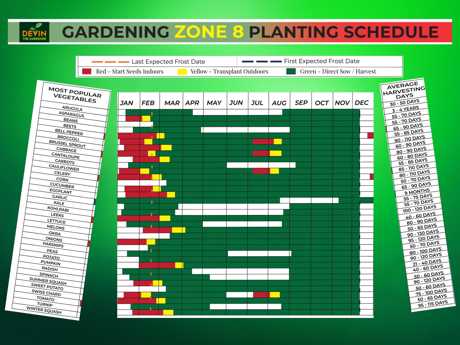 Zone 8 Planting Schedule Printable, Vegetable Garden Calendar, Seed ...