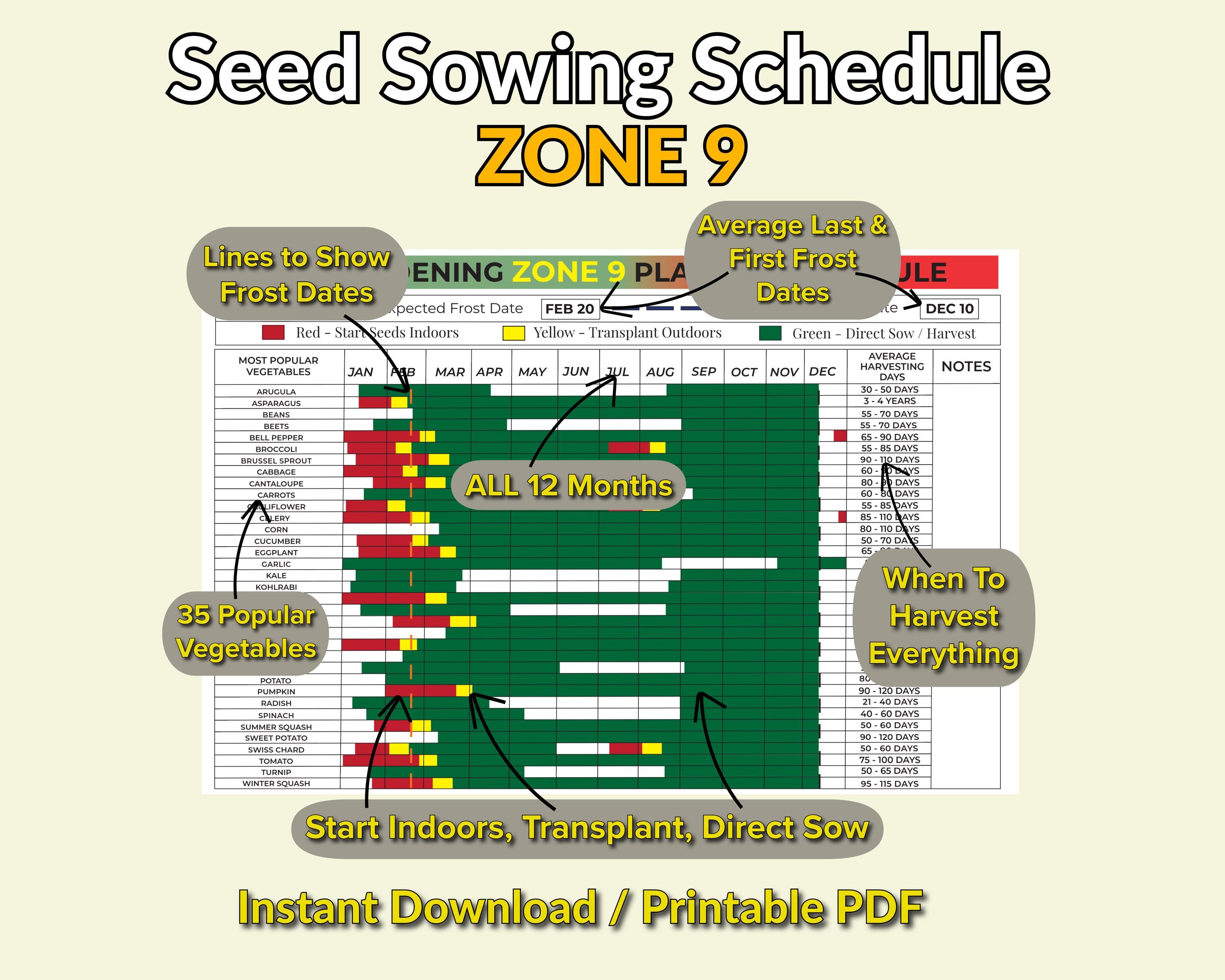 Seed Planting Chart Zone 9