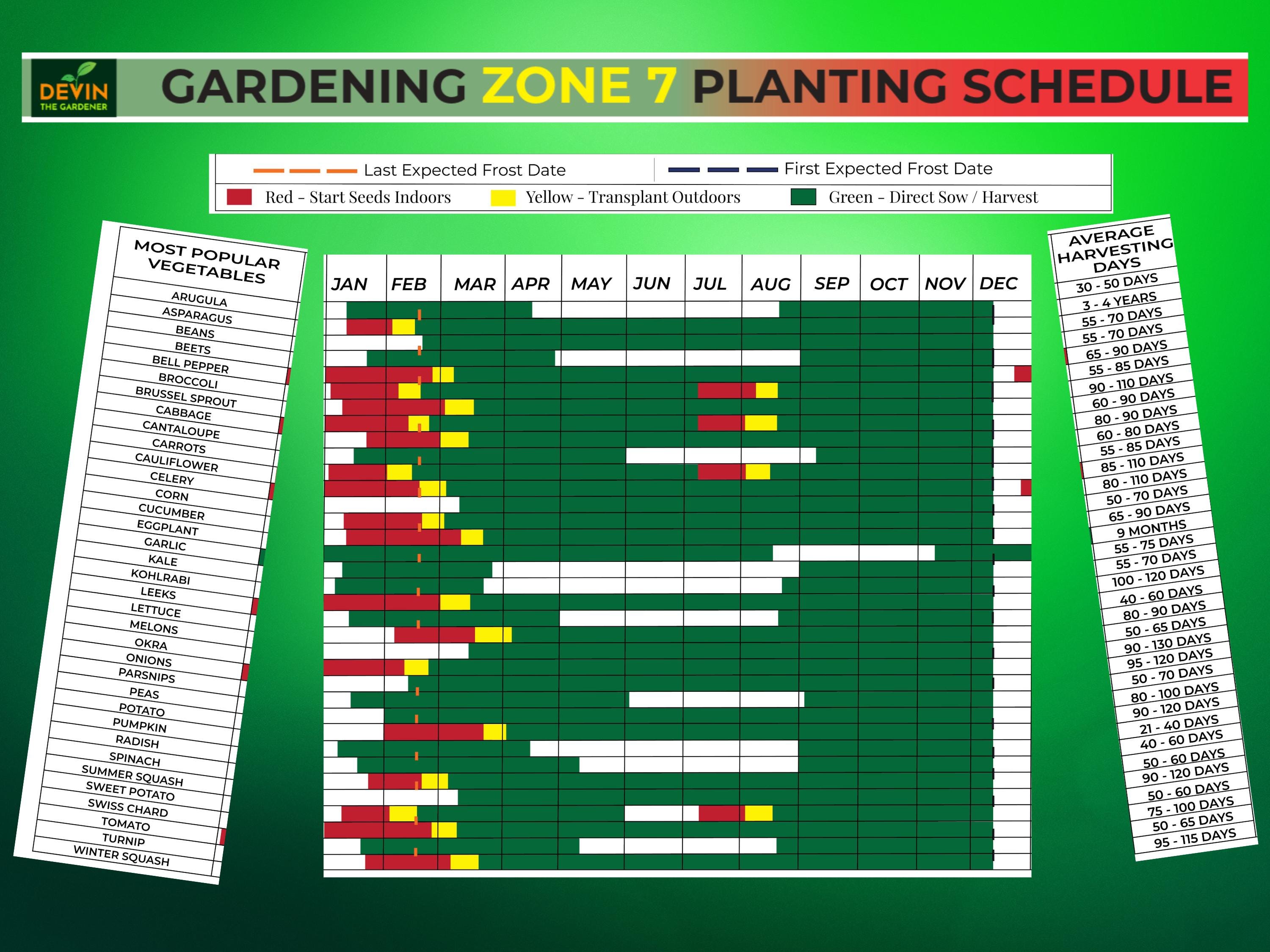 Zone 7 Planting Schedule Printable, Vegetable Garden Planner, Seed ...