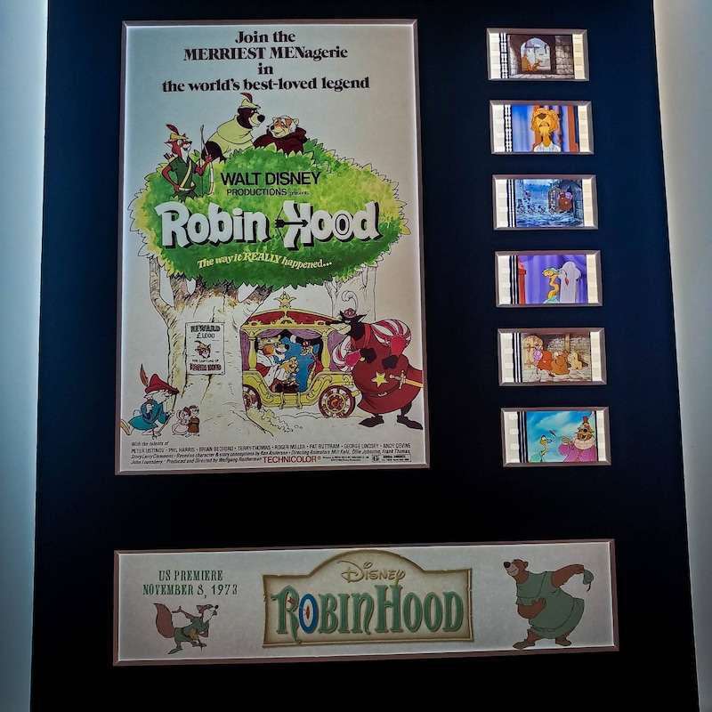 Animated Robin Hood Movie - Etsy