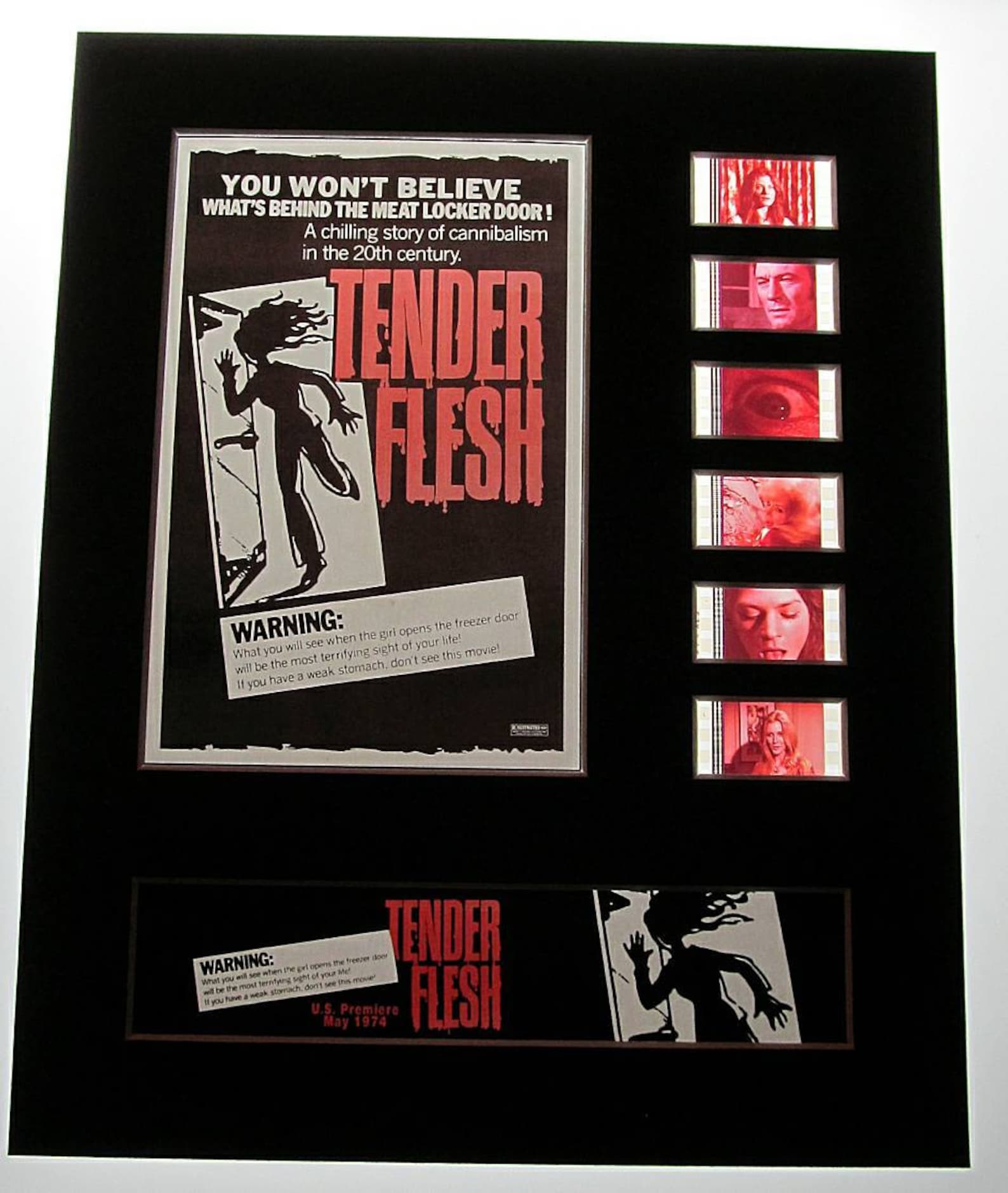 Tender Flesh 1974 Meg Foster Horror 8x10 Theatrical 35mm Movie | Etsy