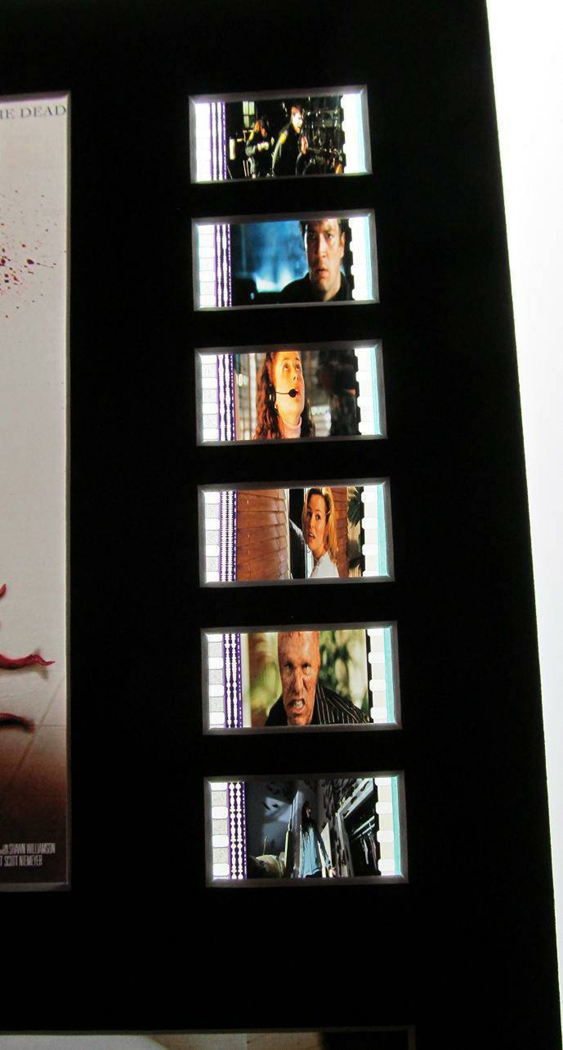 Slither 2006 Nathan Fillion James Gunn Horror 8x10 Theatrical 35mm ...