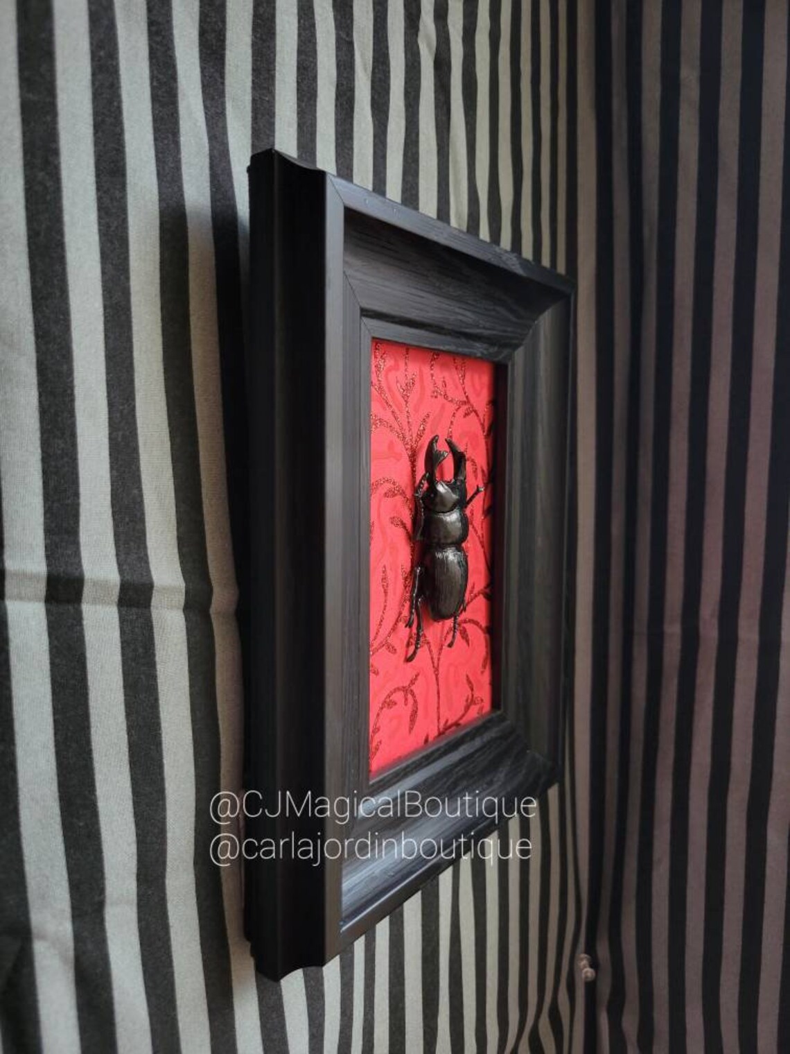 Beetle Taxidermy Gothic Decor Gothic Wall Decor Insect | Etsy