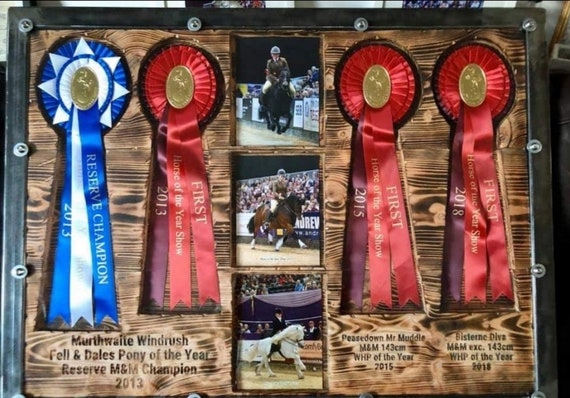 Horse Rosette Display Case custom / Bespoke - Etsy