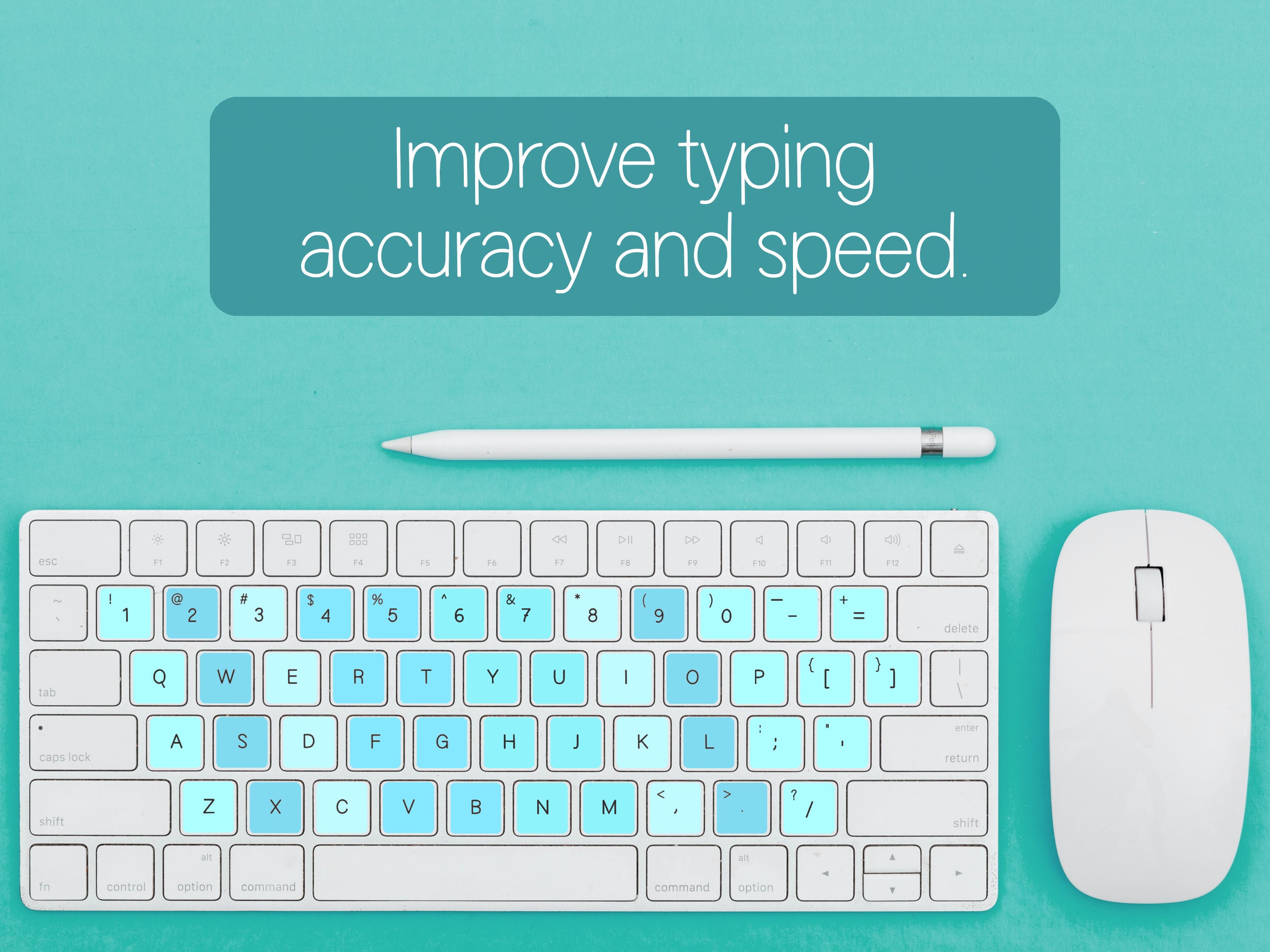 SKY BLUE Touch Typing Stickers for Kids Learn to Type With Fun and Ease ...