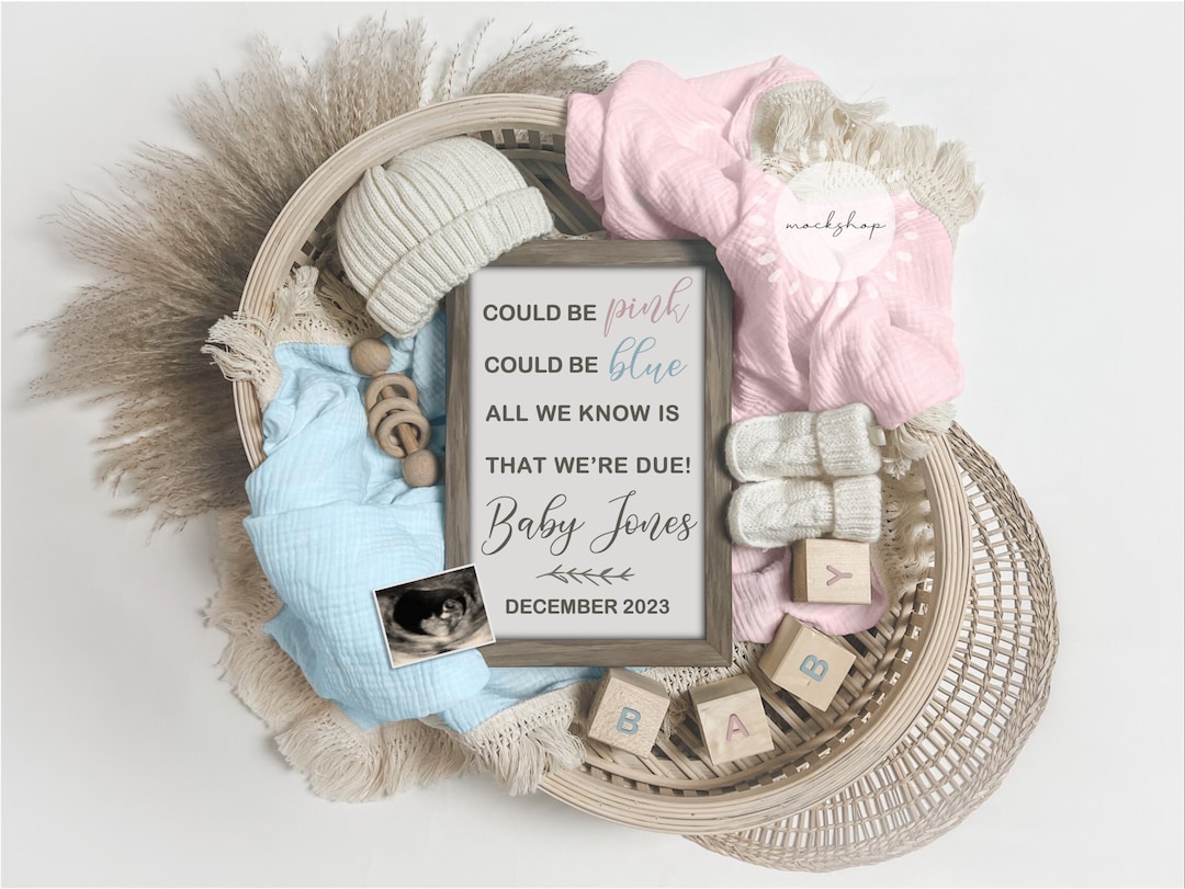 Could Be Pink Could Be Blue / Digital Pregnancy Announcement Social ...