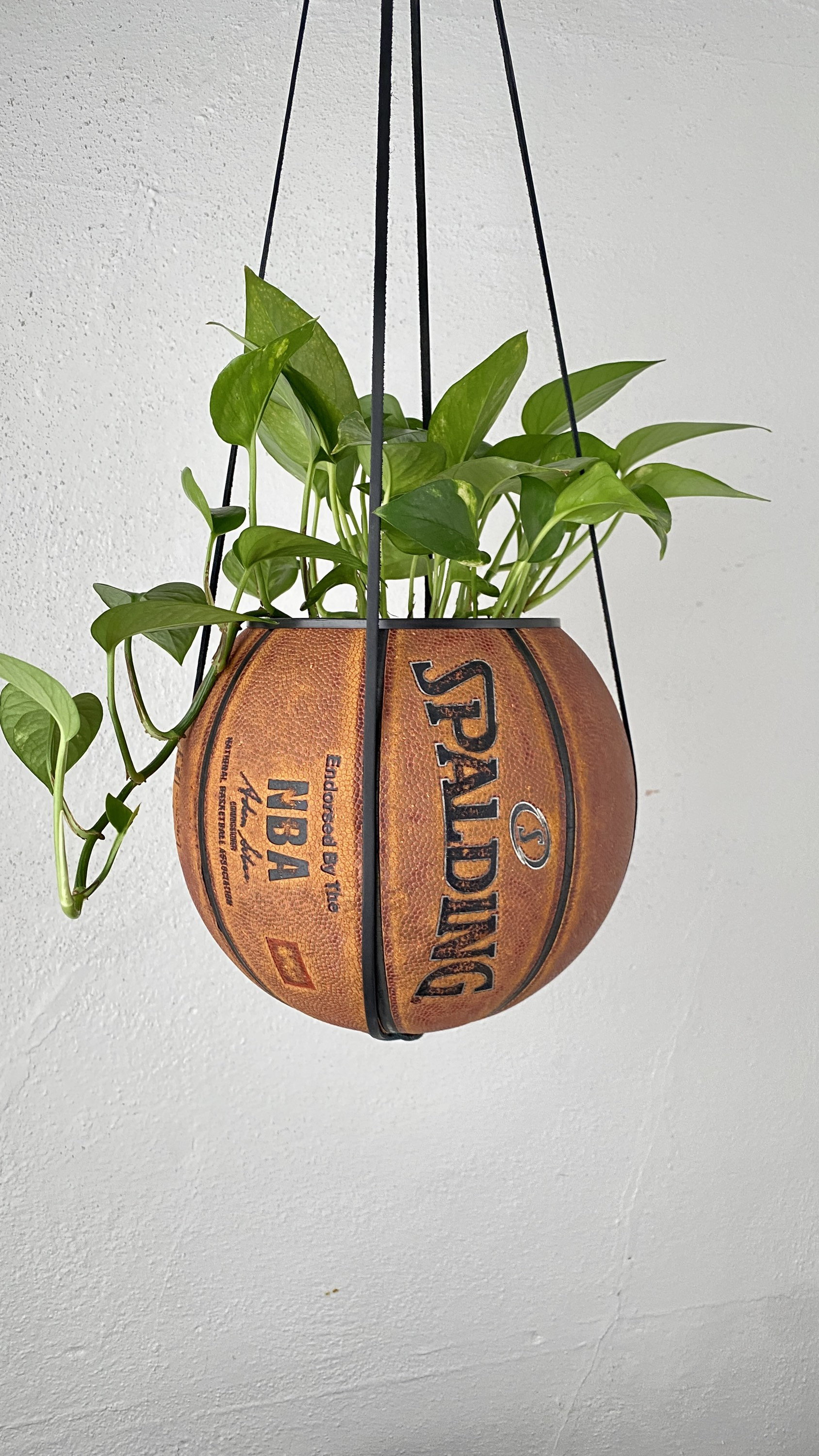 Spalding NBA Excel Basketball Planter